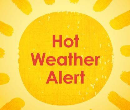 Hot Weather Guidance | Cambridgeshire Cricket Limited