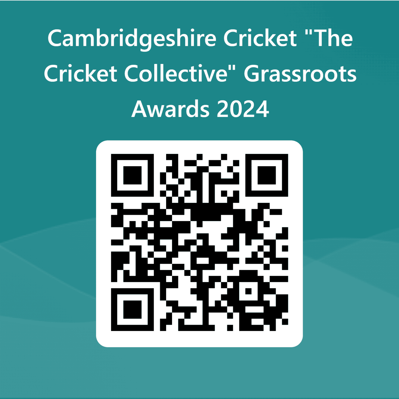 Cricket Collective Awards 2024 | Cambridgeshire Cricket Limited